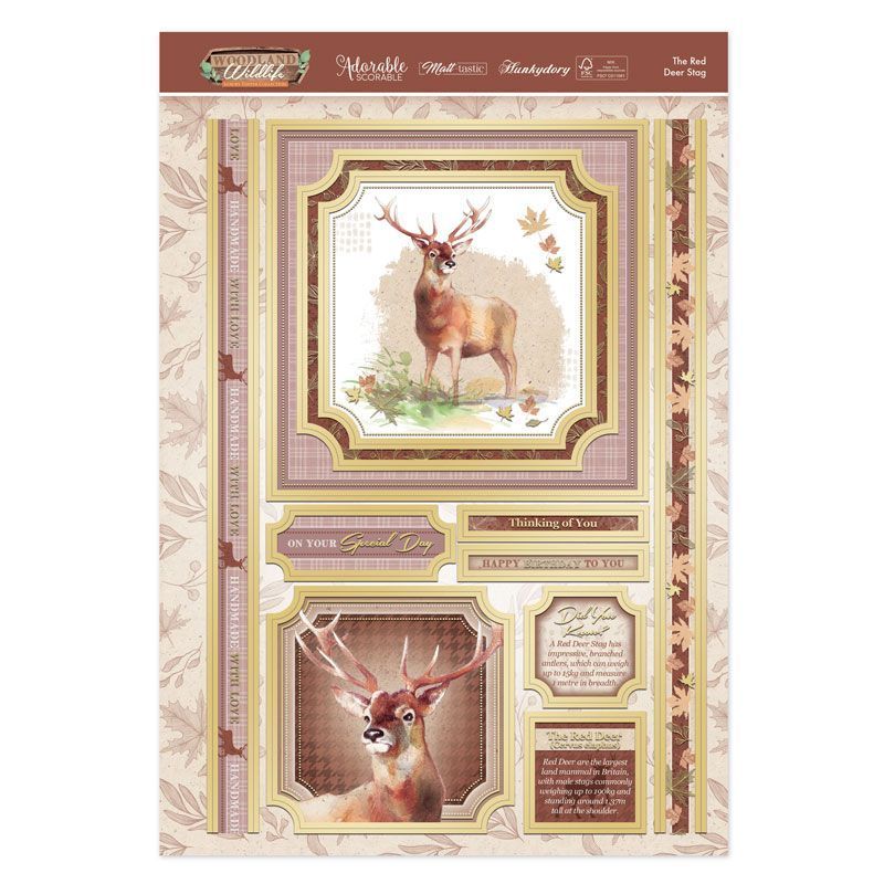 Topper Set Woodland Wildlife The Red Deer Stag